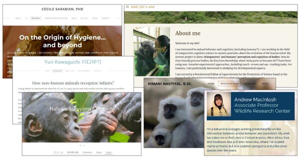 Building your academic personal website | CICASP | Center for International Collaboration and ...